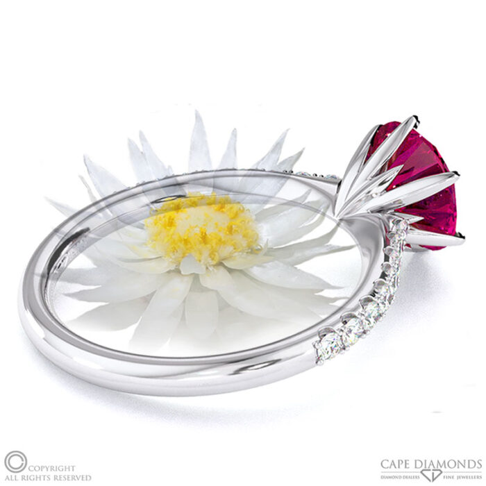 Everlasting Flower Fynbos Ruby Side Stone Engagement Ring White Gold ...