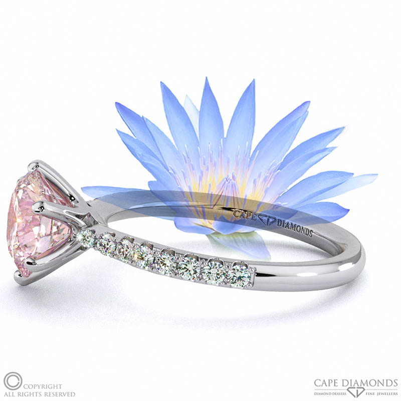 Water Lily Morganite Side Stone Engagement Ring White Gold | Cape Diamonds