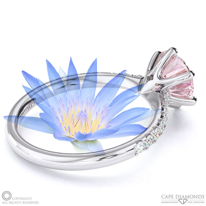 Water Lily Morganite Side Stone Engagement Ring White Gold | Cape Diamonds