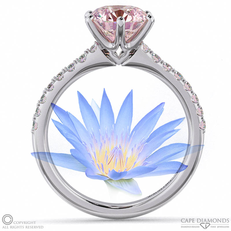 Water Lily Morganite Side Stone Engagement Ring White Gold | Cape Diamonds