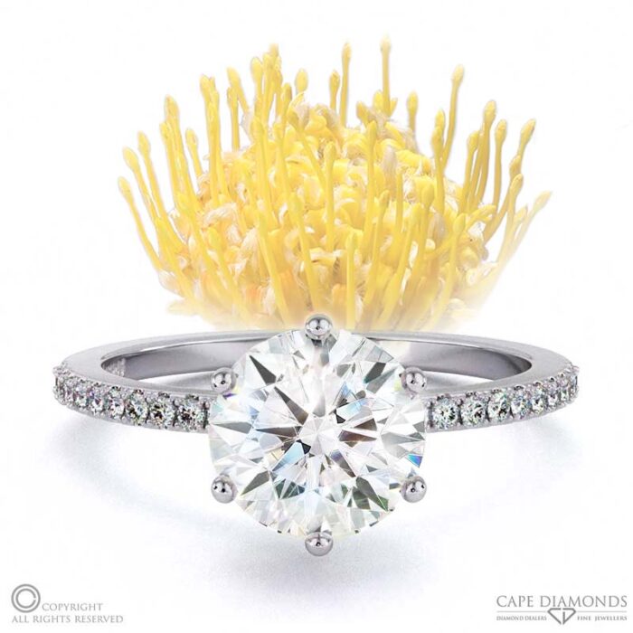 Low-Set Pincushion Lab Grown Diamond On Thin Squared Band With Pavé ...
