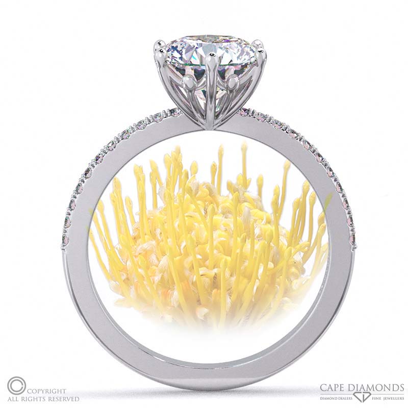 Low-Set Pincushion Lab Grown Diamond On Thin Squared Band With Pavé ...