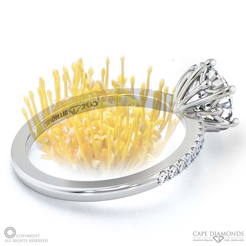 Low-Set Pincushion Lab Grown Diamond On Thin Squared Band With Pavé ...