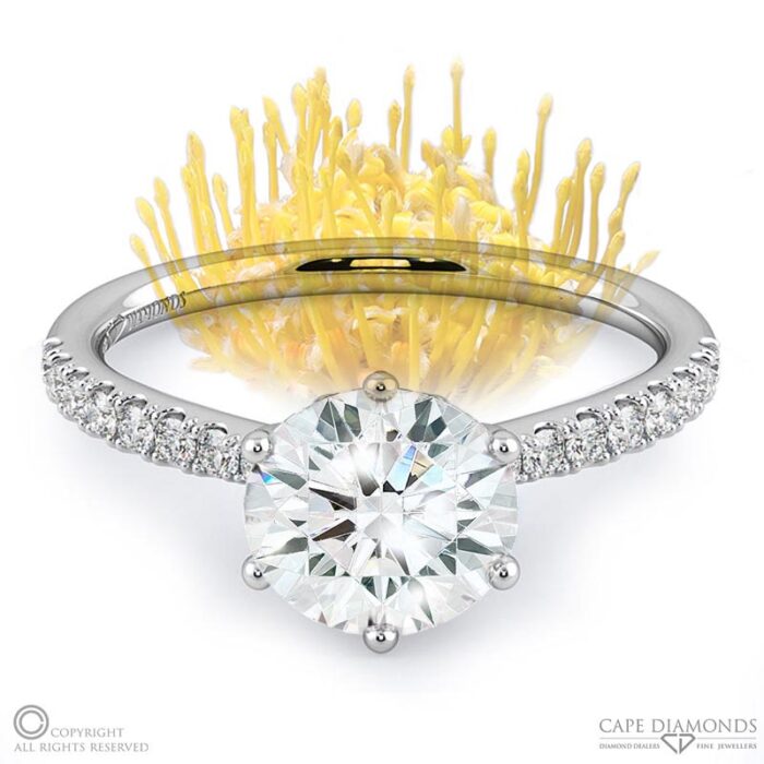 Pincushion Pave Natural Diamond Engagement Ring White Gold – Cape Diamonds